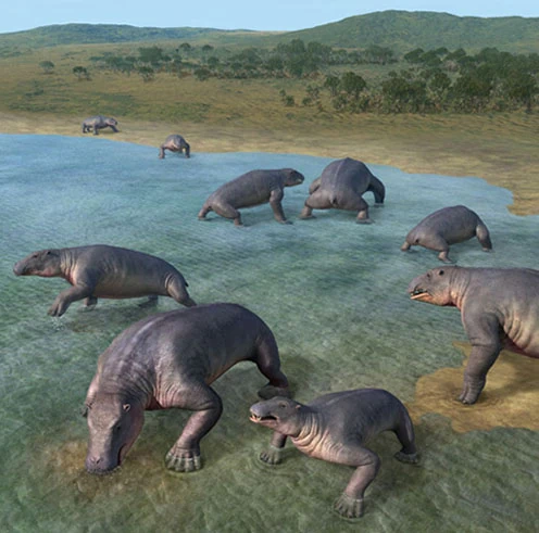 Desmostylus | The Parody Wiki | FANDOM powered by Wikia