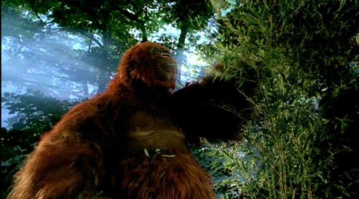 Gigantopithecus | The Parody Wiki | FANDOM powered by Wikia Gigantopithecus | The Parody Wiki | FANDOM powered by Wikia