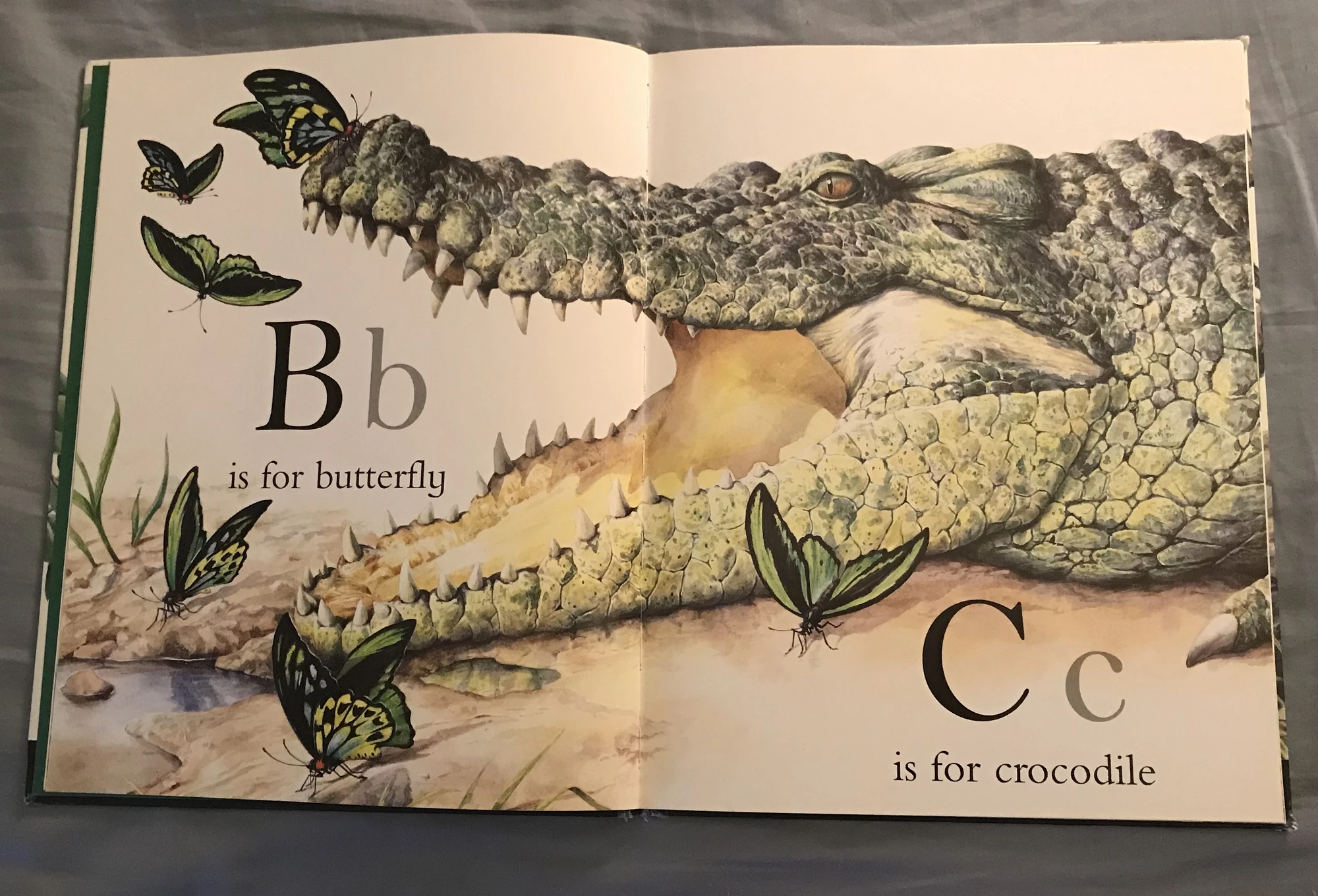 List of Species in The A to Z Book of Wild Animals | The Parody Wiki ...