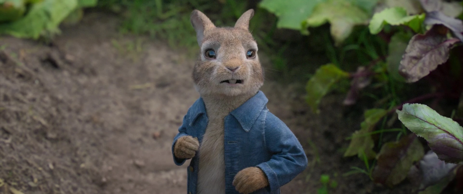 Category:The New Adventures of Peter Rabbit Characters | The Parody ...
