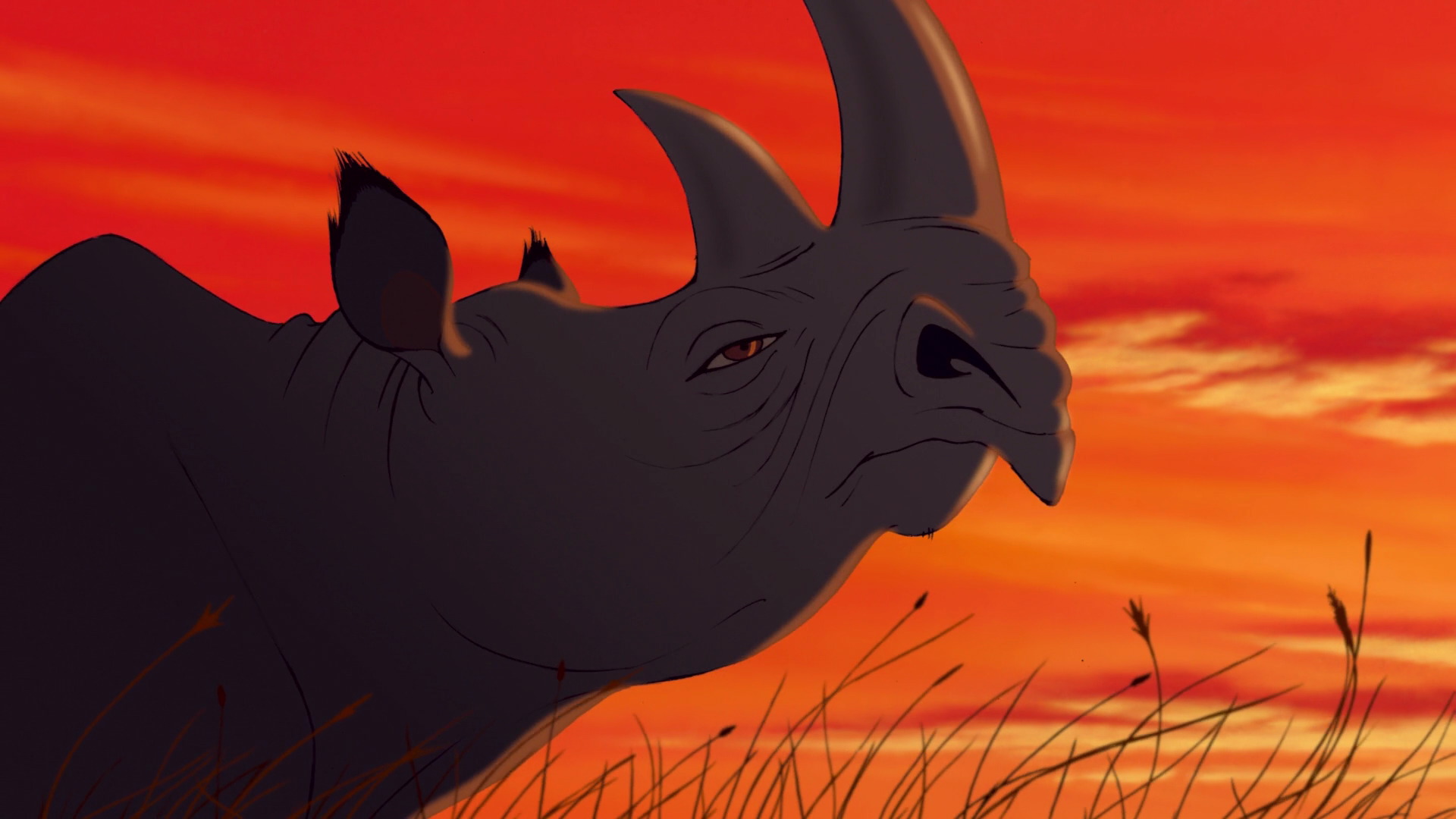 Southern Black Rhinoceros | The Parody Wiki | FANDOM powered by Wikia