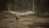Struthiomimus | Path of Titans Wiki | Fandom