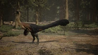 Struthiomimus | Path of Titans Wiki | Fandom