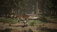 Daspletosaurus | Path of Titans Wiki | Fandom