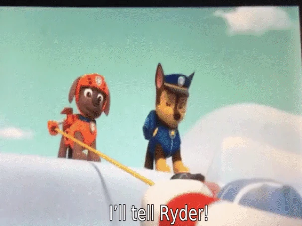 Ryder/Chase/Zuma/Gifs | Paw Patrol Cast Wiki | Fandom