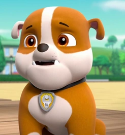 Rubble | Paw Patrol Cast Wiki | Fandom