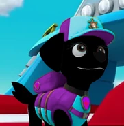 Luna | PAW Patrol Fanon 2 Wiki | Fandom