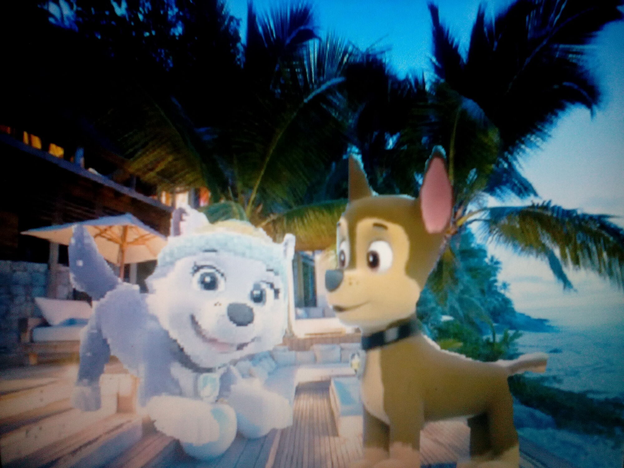 Chase X Everest I Love You Love Story Paw Patrol Love Stories Wikia Fandom Powered By Wikia