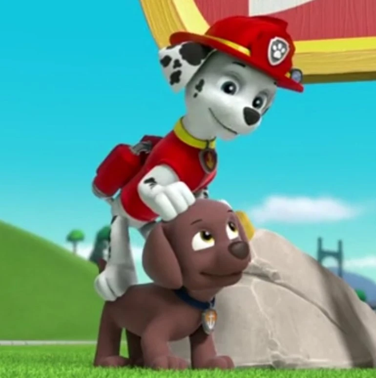 Zuma & Marshall | Paw Patrol Relation Ship Wiki | Fandom