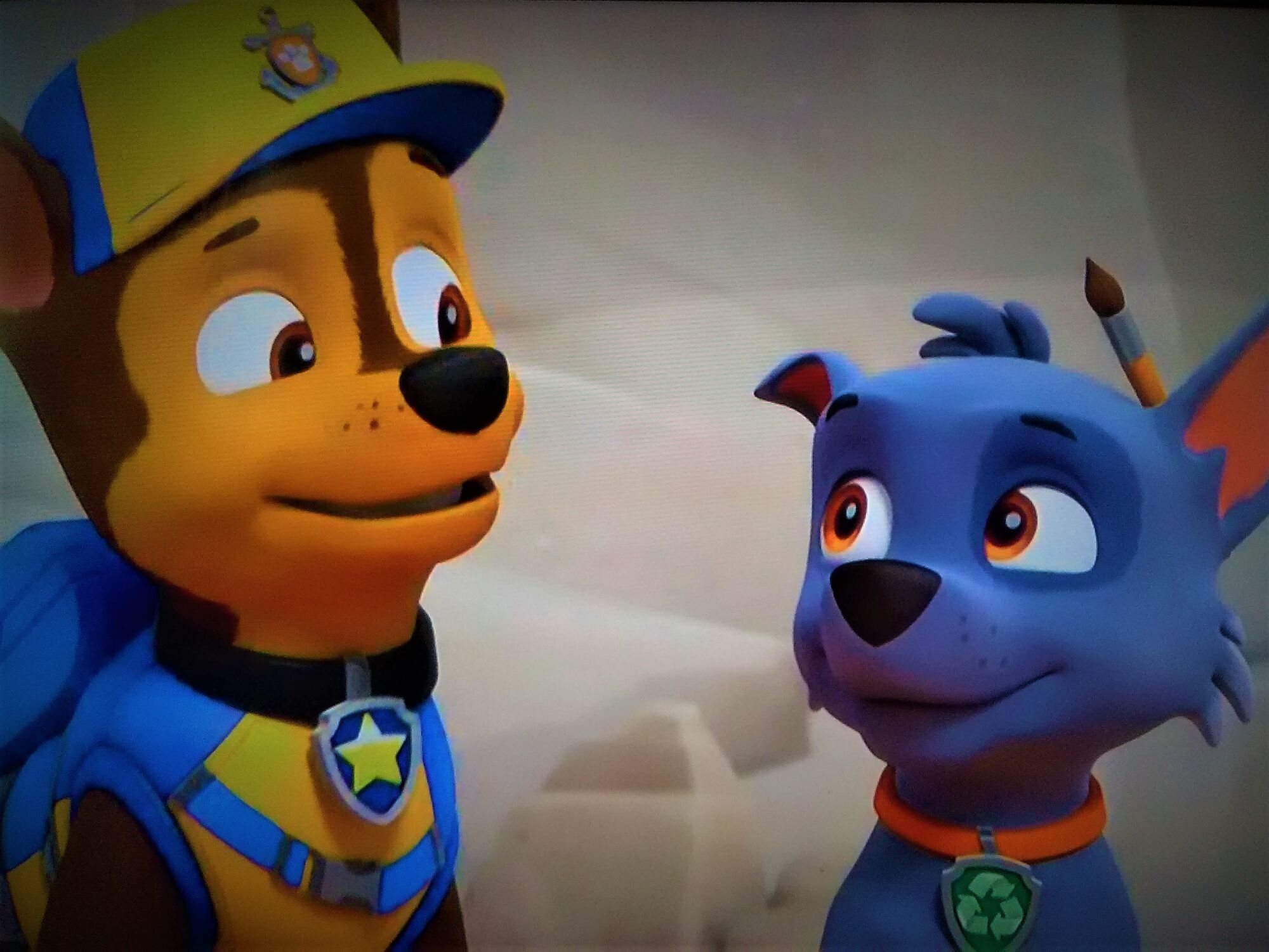 Chase And Rocky Paw Patrol Relation Ship Wiki Fandom