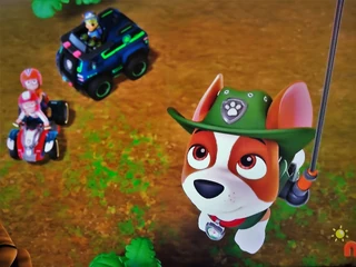 Tracker | Paw Patrol Relation Ship Wiki | Fandom