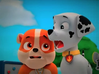 Marshall & Rubble | Paw Patrol Relation Ship Wiki | Fandom
