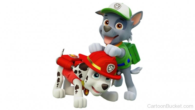 Rocky And Marshall Paw Patrol Relation Ship Wiki Fandom