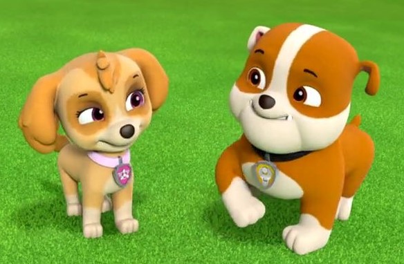Rubble X Skye Paw Patrol Relation Ship Wiki Fandom