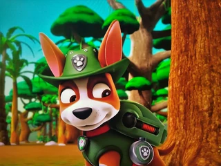 Tracker | Paw Patrol Relation Ship Wiki | Fandom