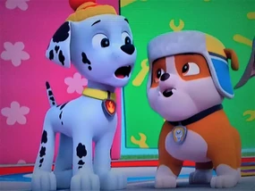 Marshall & Rubble | Paw Patrol Relation Ship Wiki | Fandom