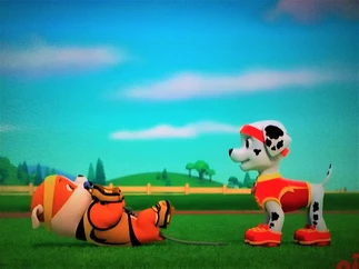 Marshall & Rubble | Paw Patrol Relation Ship Wiki | Fandom