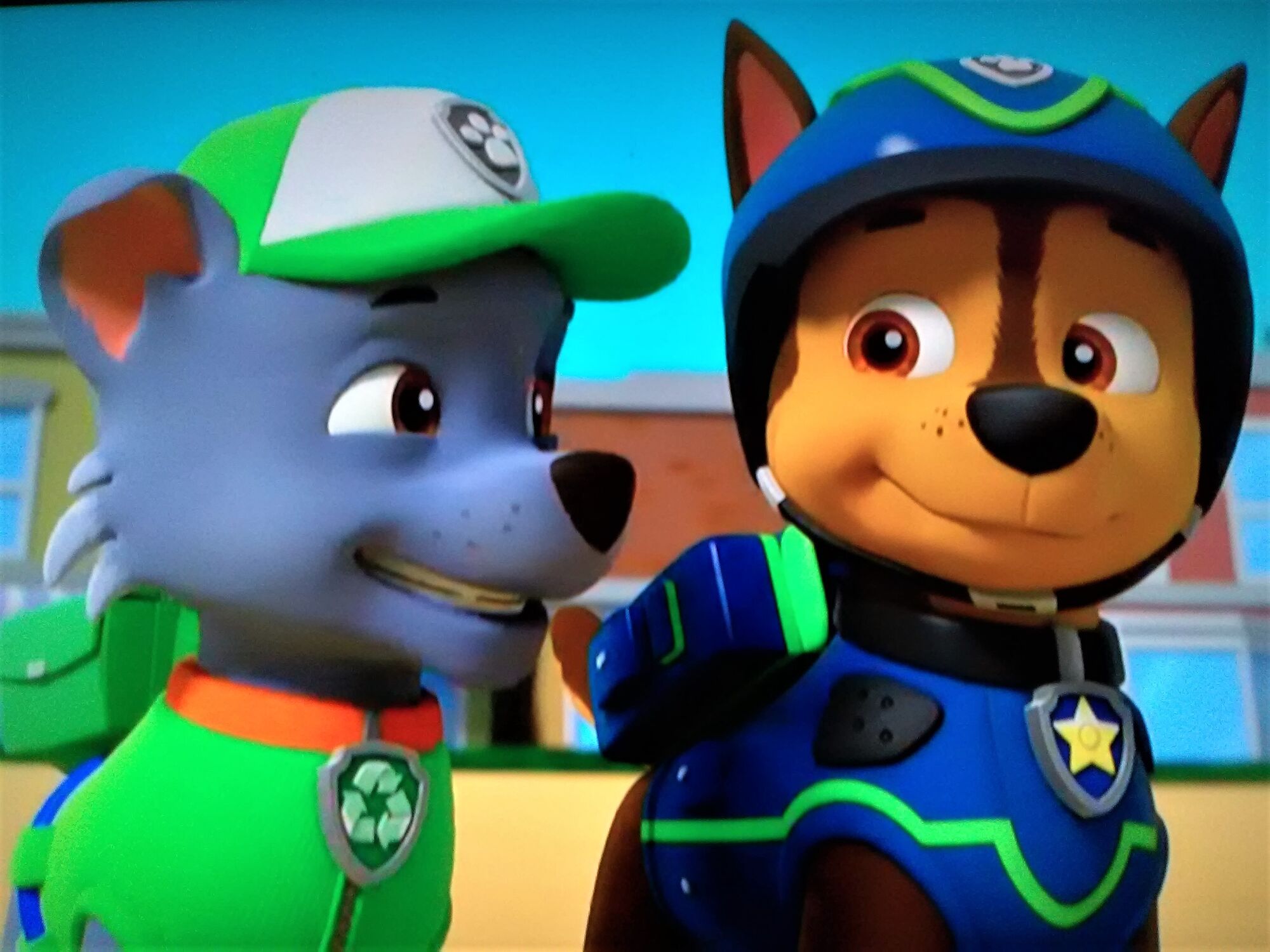 Chase And Rocky Paw Patrol Relation Ship Wiki Fandom