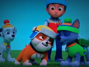 Rocky & Rubble | Paw Patrol Relation Ship Wiki | Fandom