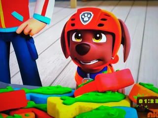 Zuma | Paw Patrol Relation Ship Wiki | Fandom
