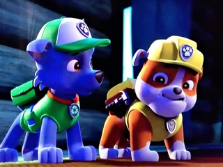 Rocky & Rubble | Paw Patrol Relation Ship Wiki | Fandom