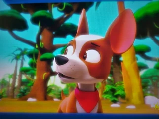 Tracker | Paw Patrol Relation Ship Wiki | Fandom