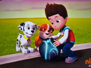 Marshall & Rubble | Paw Patrol Relation Ship Wiki | Fandom