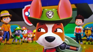 Tracker | Paw Patrol Relation Ship Wiki | Fandom