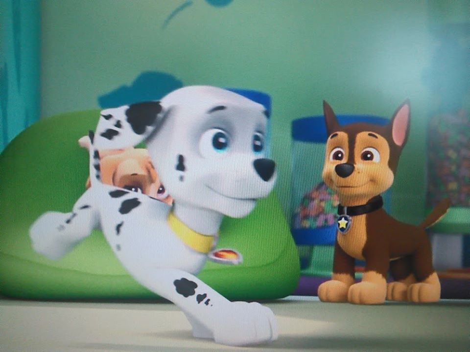 Chase | Paw Patrol Relation Ship Wiki | FANDOM powered by Wikia