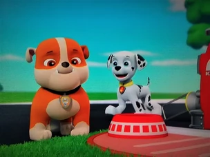 Marshall & Rubble | Paw Patrol Relation Ship Wiki | Fandom