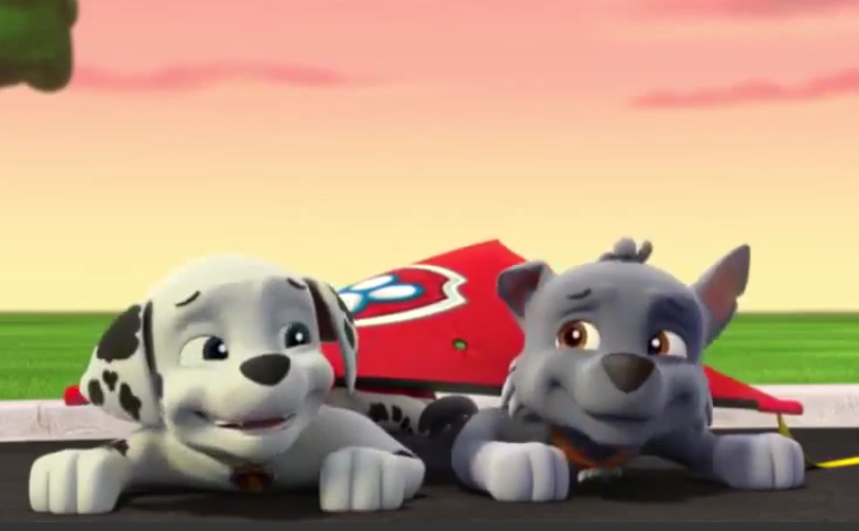 Rocky And Marshall Paw Patrol Relation Ship Wiki Fandom Powered By Wikia