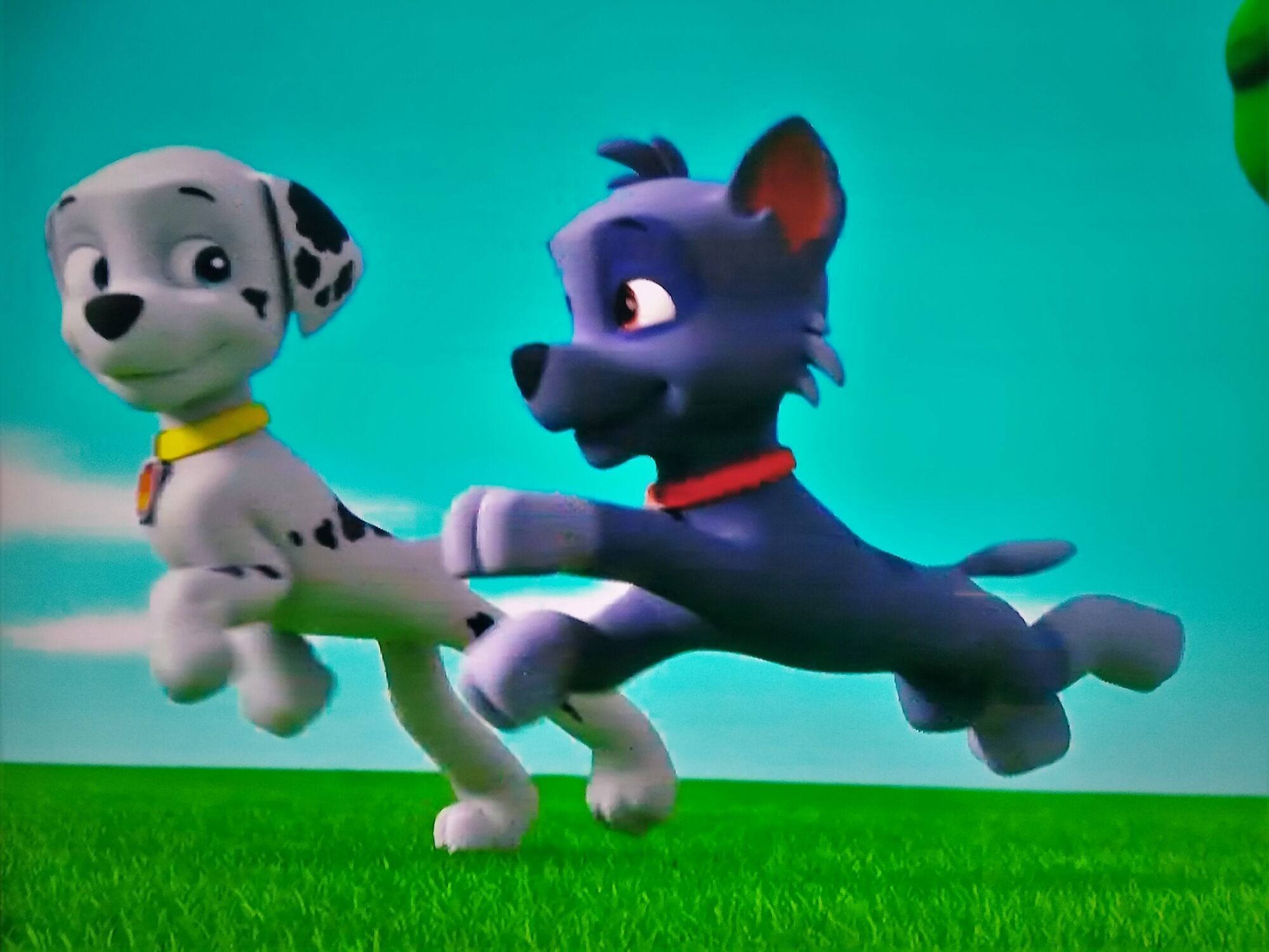 Rocky And Marshall Paw Patrol Relation Ship Wiki Fandom