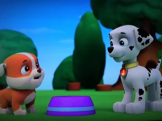 Marshall & Rubble | Paw Patrol Relation Ship Wiki | Fandom