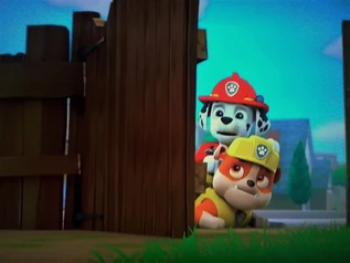 Marshall & Rubble | Paw Patrol Relation Ship Wiki | Fandom
