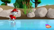 Marshall/Gallery/Pups Save a Duck Pond | PAW Patrol Wiki | Fandom