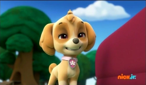 Skye/Gallery/Pups Save the Circus | PAW Patrol Wiki | Fandom