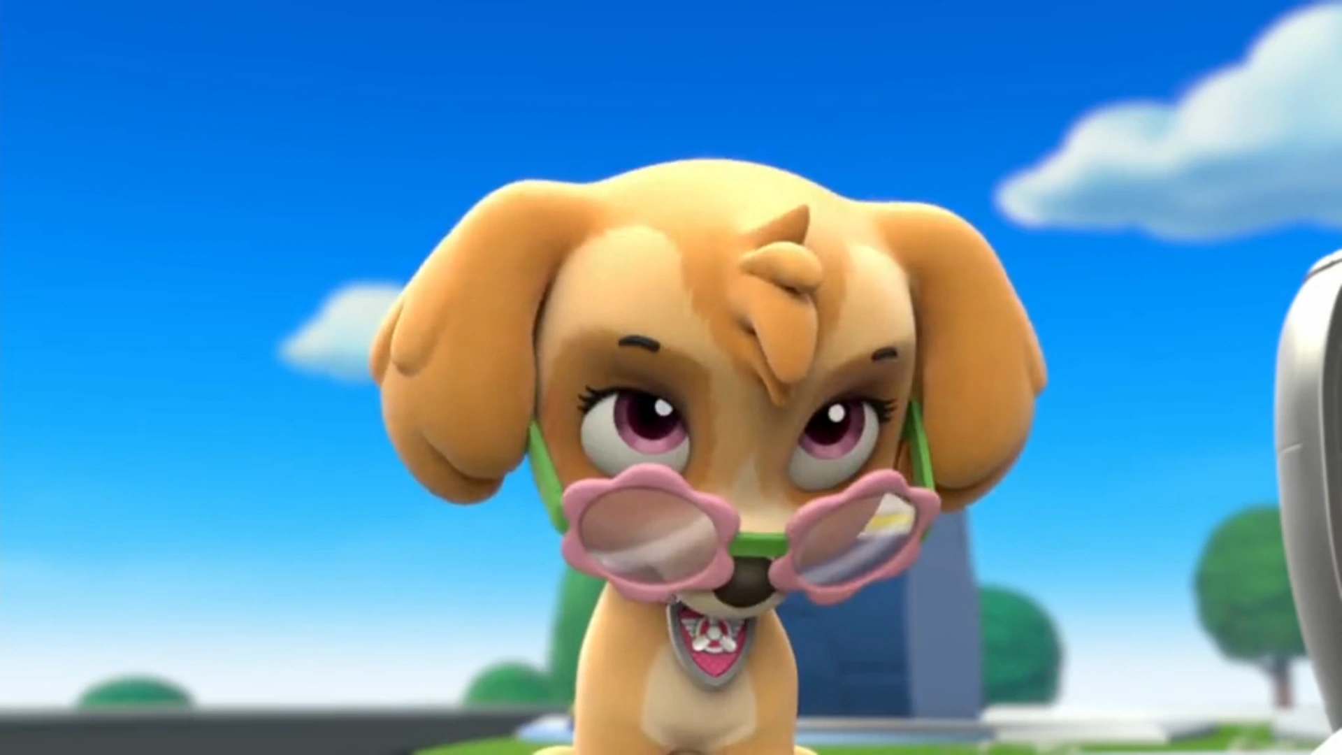 Pups Save a Pool Day/Trivia | PAW Patrol Wiki | Fandom