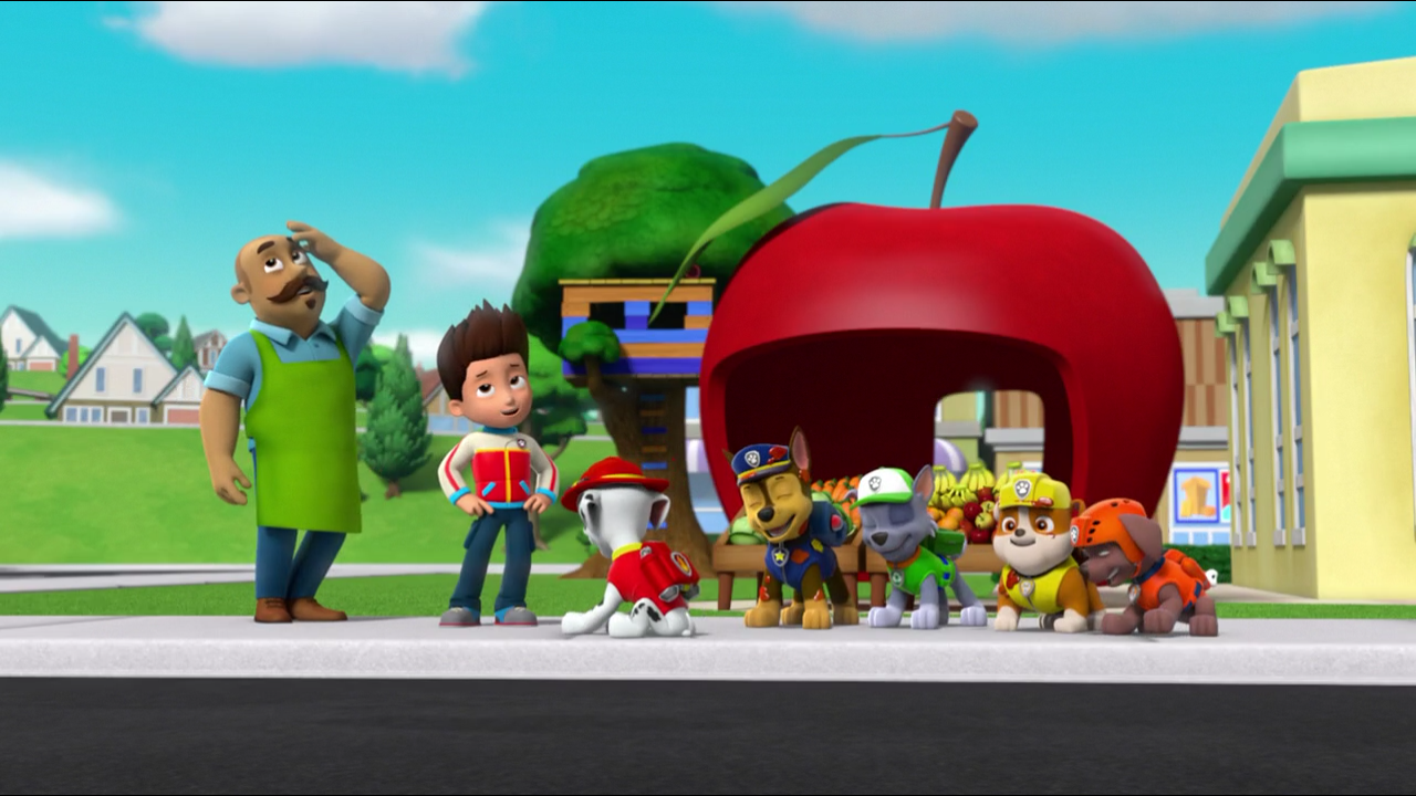 Chasegallerypups Get Growing Paw Patrol Wiki Fandom