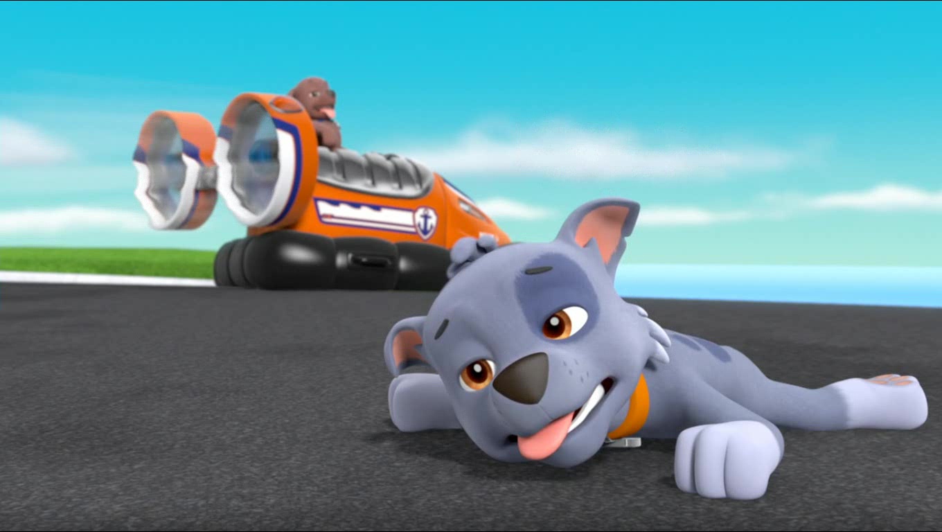 Rocky Gallery Pups Chill Out Paw Patrol Wiki Fandom