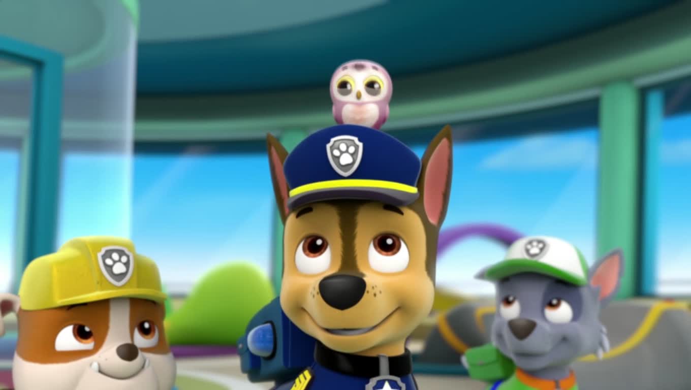 Rocky/Gallery/Pups Save a Hoot | PAW Patrol Wiki | FANDOM powered by Wikia Rocky/Gallery/Pups Save a Hoot | PAW Patrol Wiki | FANDOM powered by Wikia
