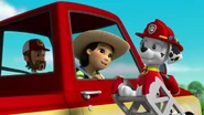 Pups Save a Cow/Gallery | PAW Patrol Wiki | Fandom