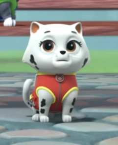 Cat Marshall/Trivia | PAW Patrol Wiki | Fandom