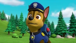 Pups Save a Manatee/Quotes | PAW Patrol Wiki | Fandom