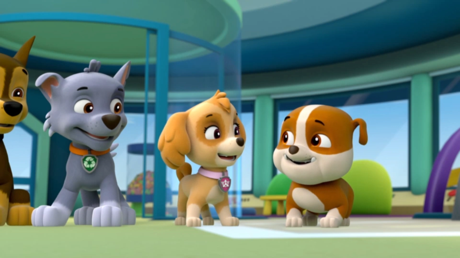 Rubble Paw Patrol Pup