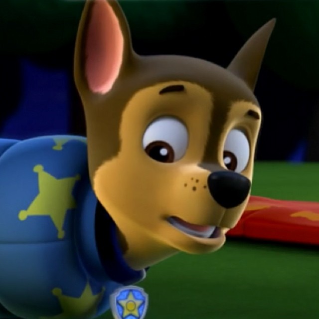 Image Chase Stuck In His Sleeping Bag Paw Patrol Wiki Fandom Powered By Wikia