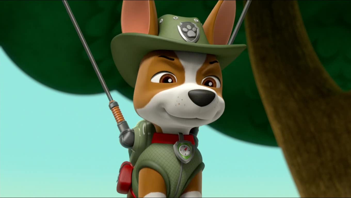 Pups Save The Mailquotes Paw Patrol Wiki Fandom