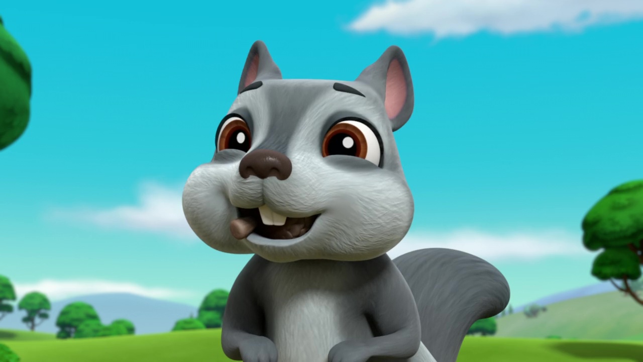 Squirrels/Appearances | PAW Patrol Wiki | Fandom