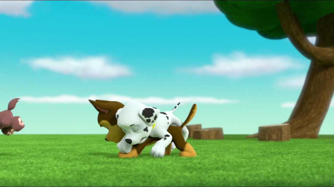 Chase/Gallery/Pups Save the Polar Bears | PAW Patrol Wiki | Fandom