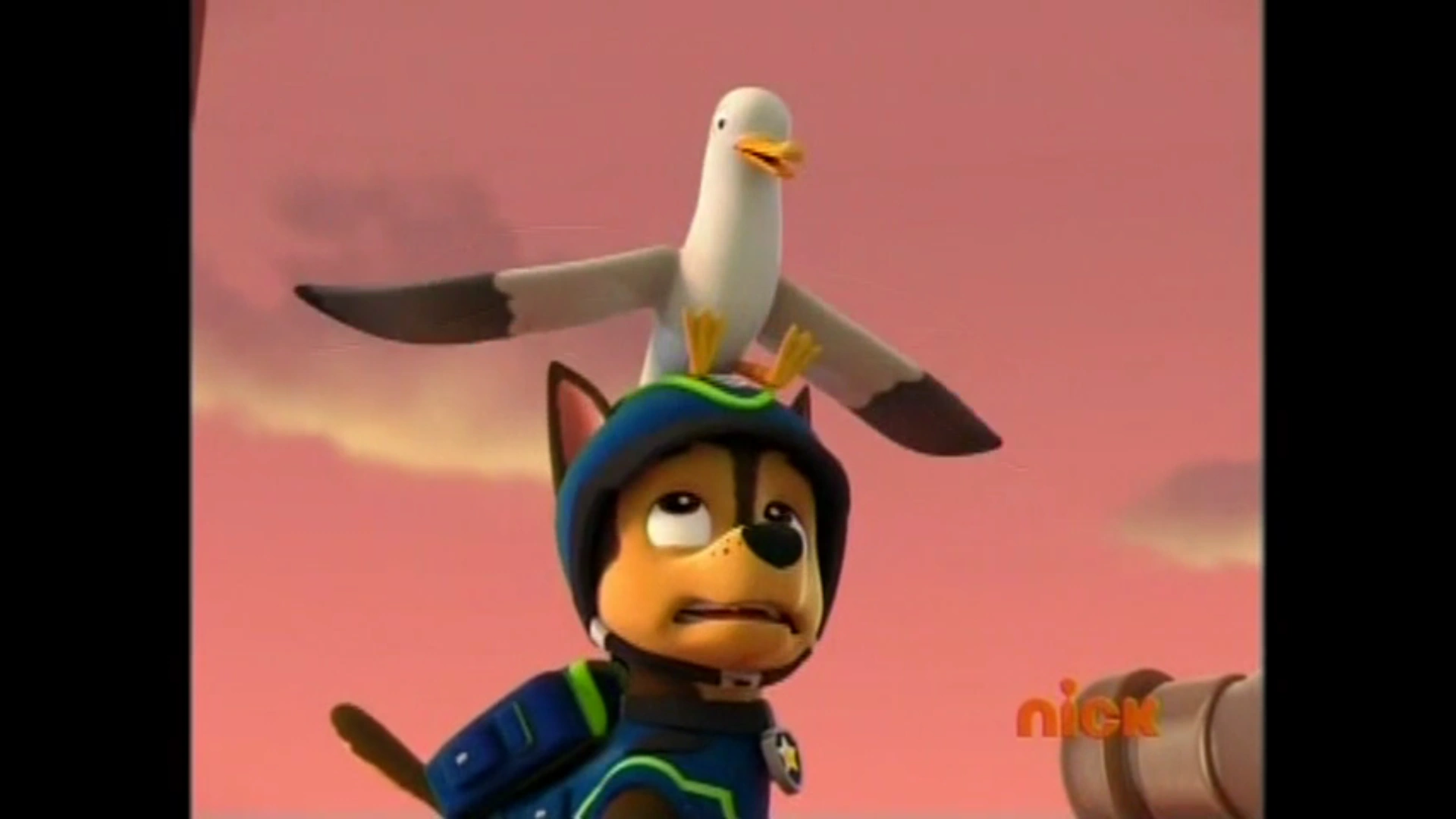 Seagulls/Gallery/Pups Save the Penguins | PAW Patrol Wiki | Fandom