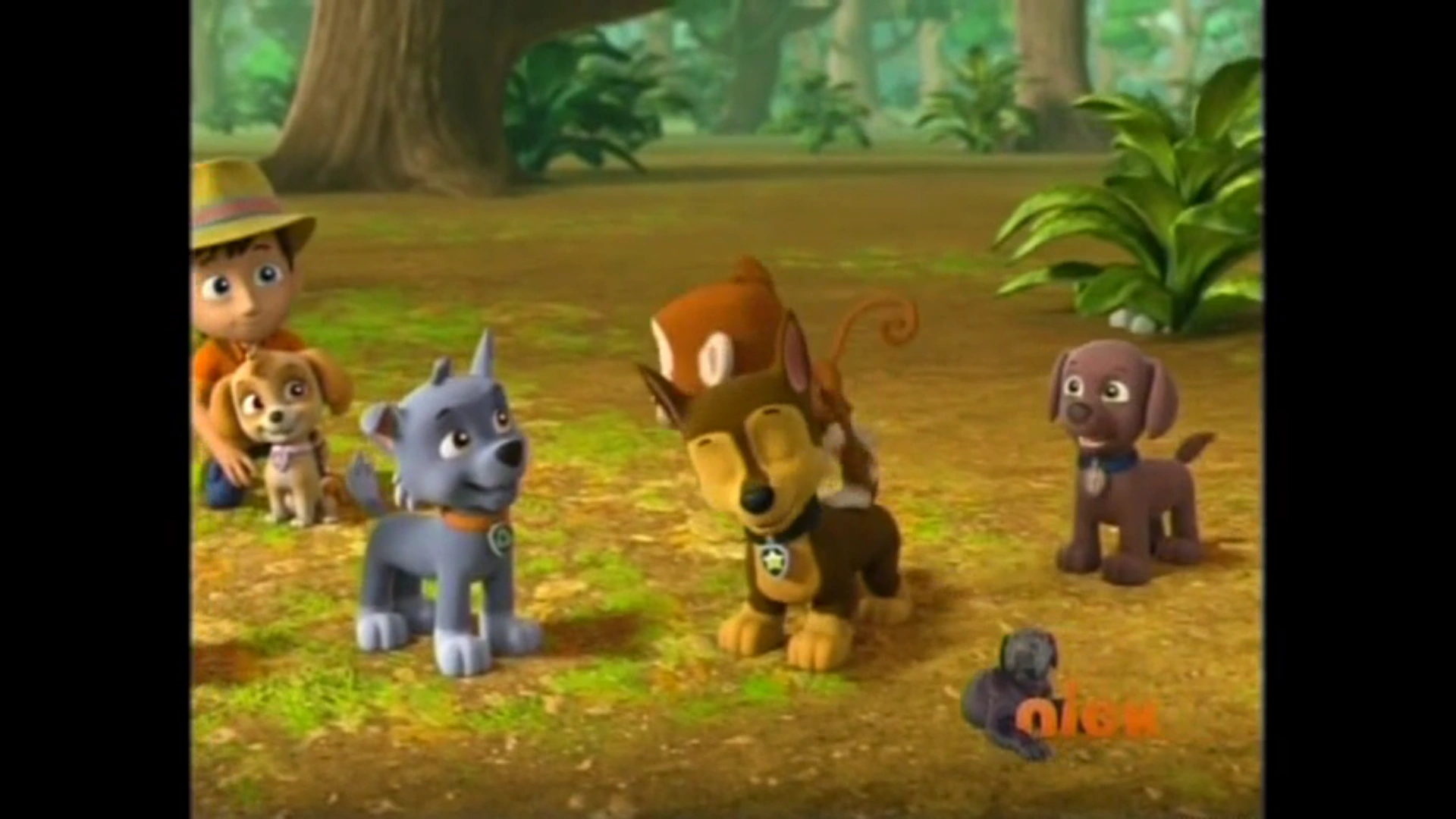 Rocky/Gallery/Pups Save the Parrot | PAW Patrol Wiki | Fandom